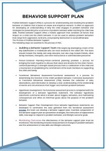 5+ Behavior Support Plan Template | room surf.com