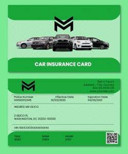 10+ Printable Car Insurance Card psd template free | room surf.com