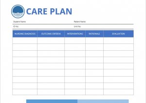 10+ Printable Care Plan Template | room surf.com