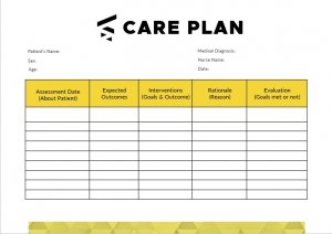 10+ Printable Care Plan Template | room surf.com