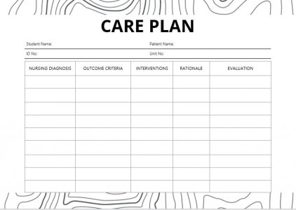10+ Printable Care Plan Template | room surf.com