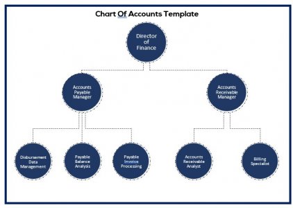 5+ Chart of Accounts Template | room surf.com