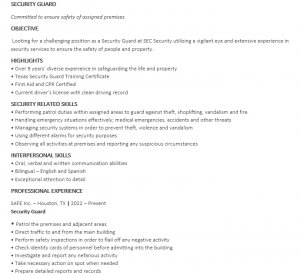 10+ Security Guard Resume Template | room surf.com