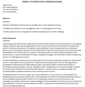 7+ Customer Service Resume Examples | room surf.com