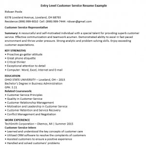7+ Customer Service Resume Examples | room surf.com