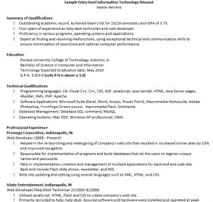 10+ Information Technology Resume | room surf.com