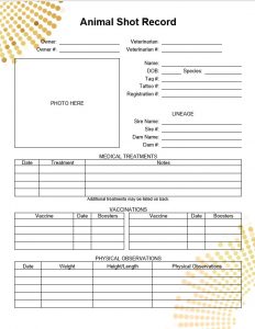 5+ Printable Puppy Shot Record Template | room surf.com